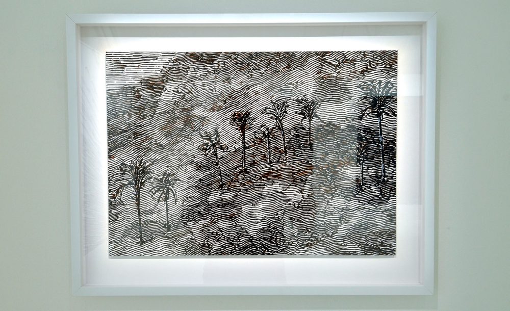 PIERRE ROY-CAMILLE | SURNATURELS - Fondation Clément