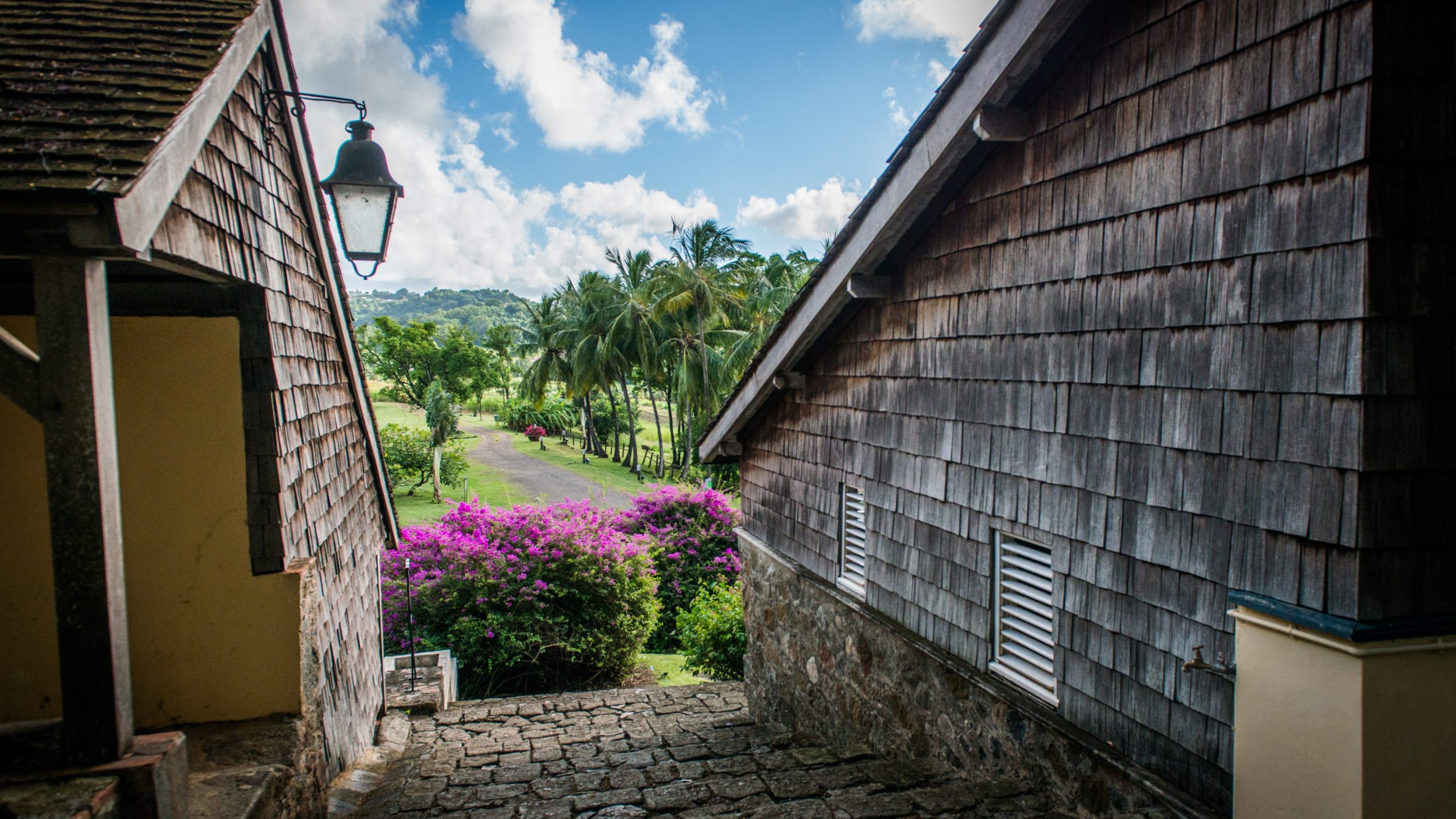 L'Habitation Clément - Fondation Clément