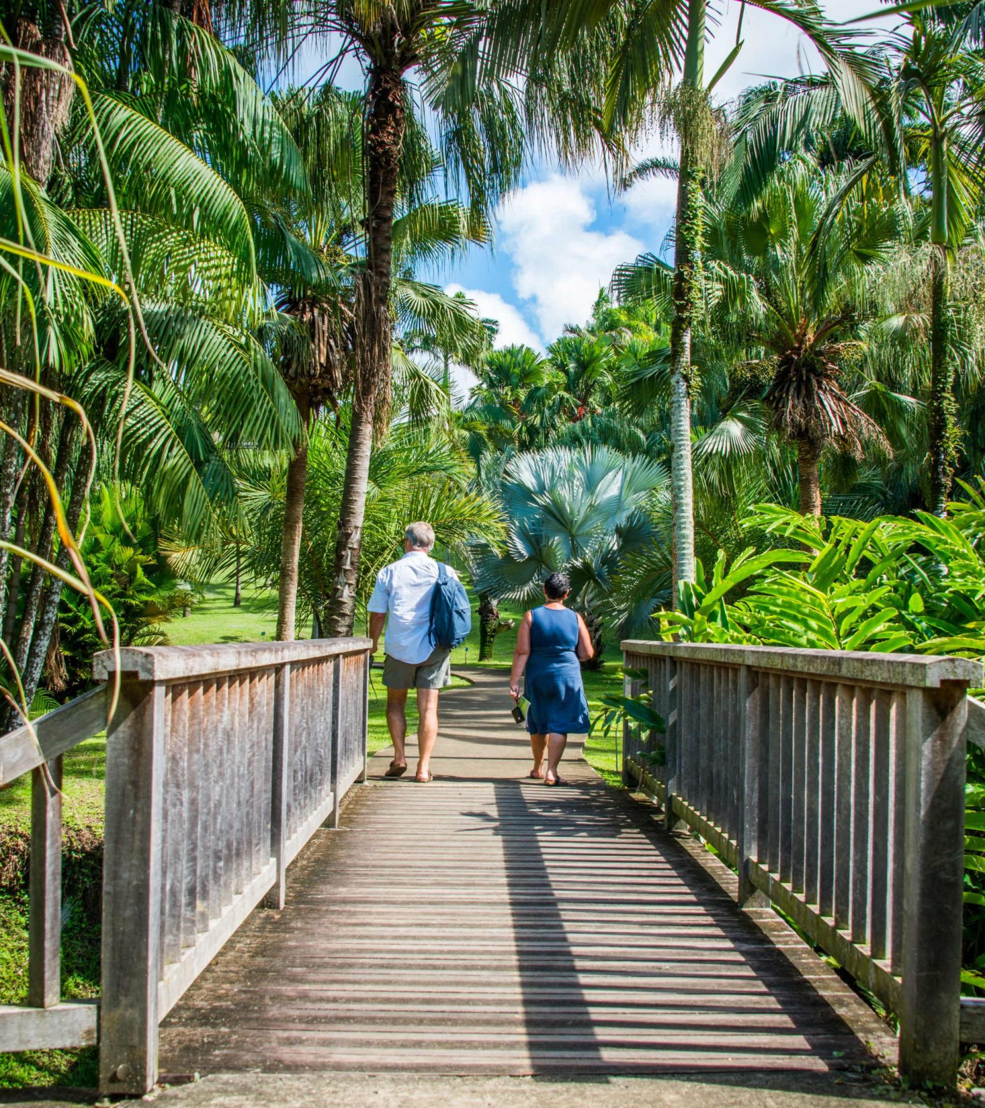 L'Habitation Clément - Fondation Clément